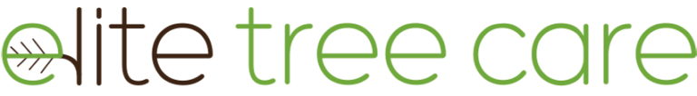 Elite Tree Care - GTA Arboriculture Experts