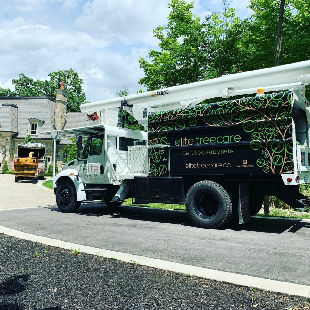 Our Team - Elite Tree Care