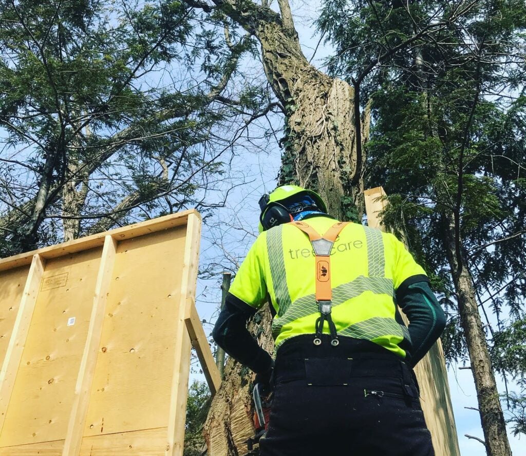 Our Team - Elite Tree Care